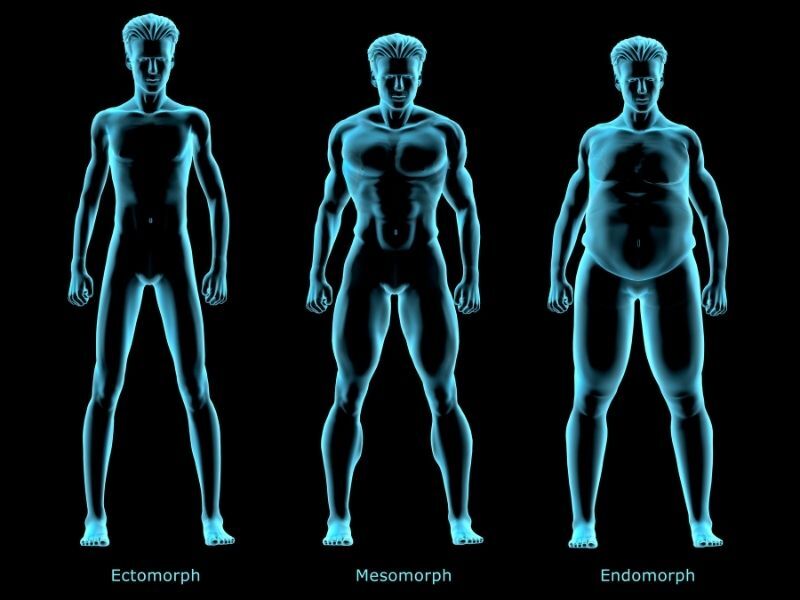 lean athletic body type